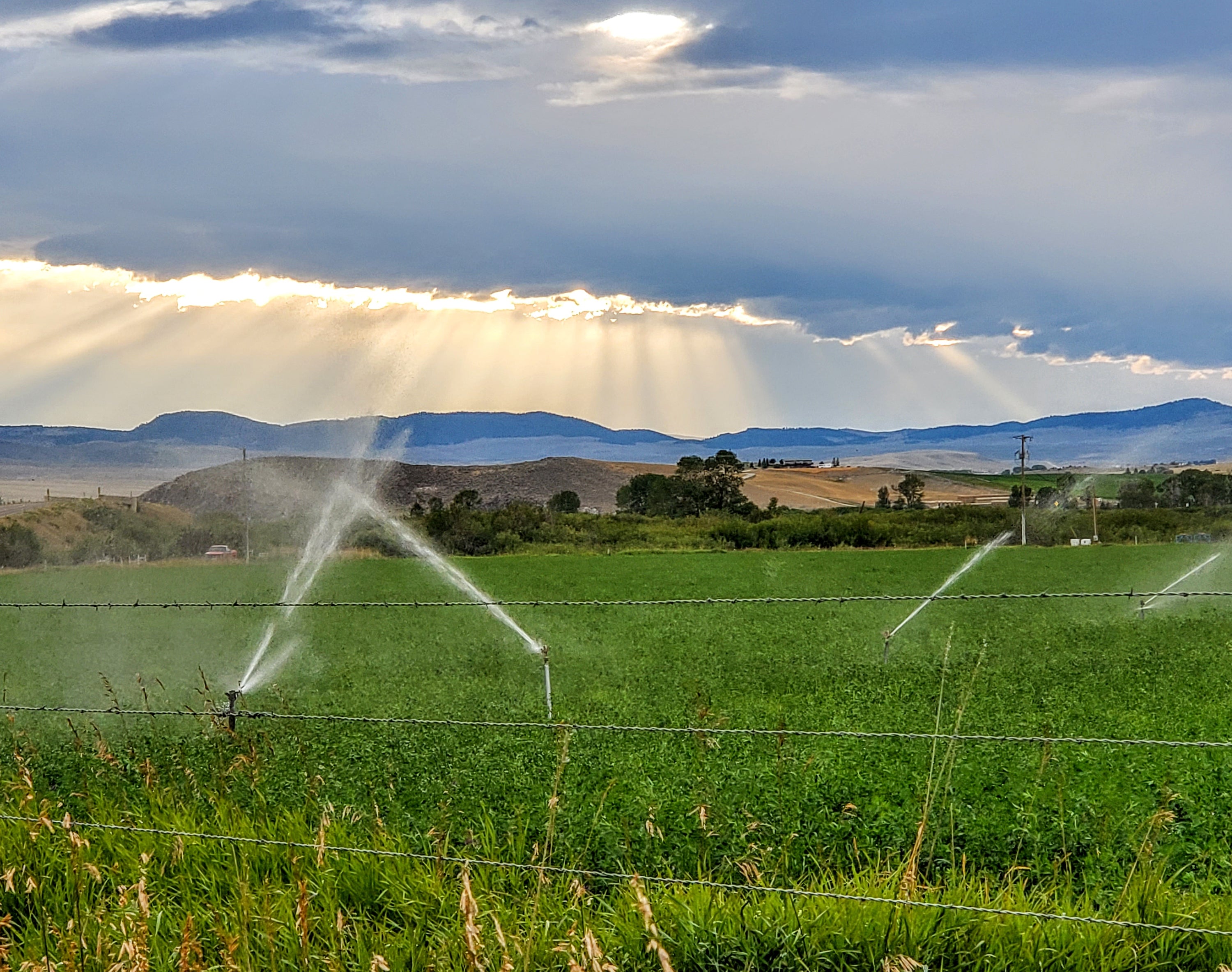 Atomic 79 Boots and Western Gear in Dillon, Montana